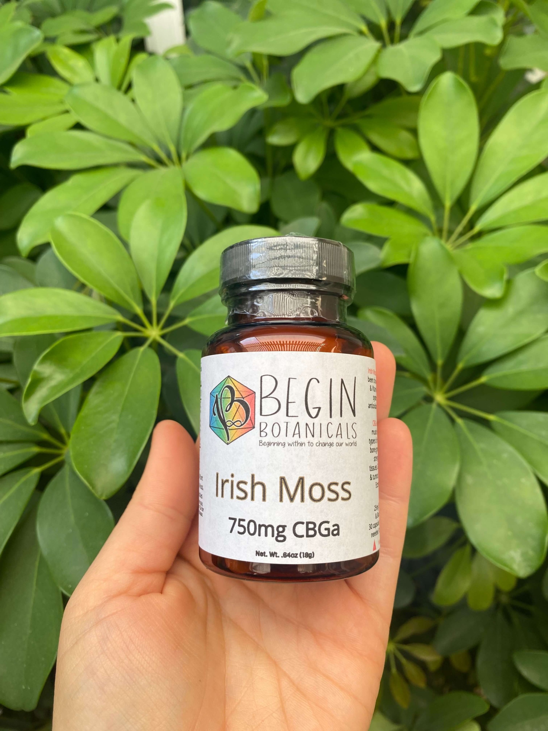 Irish Sea Moss and Hemp Capsules - Begin Botanicals